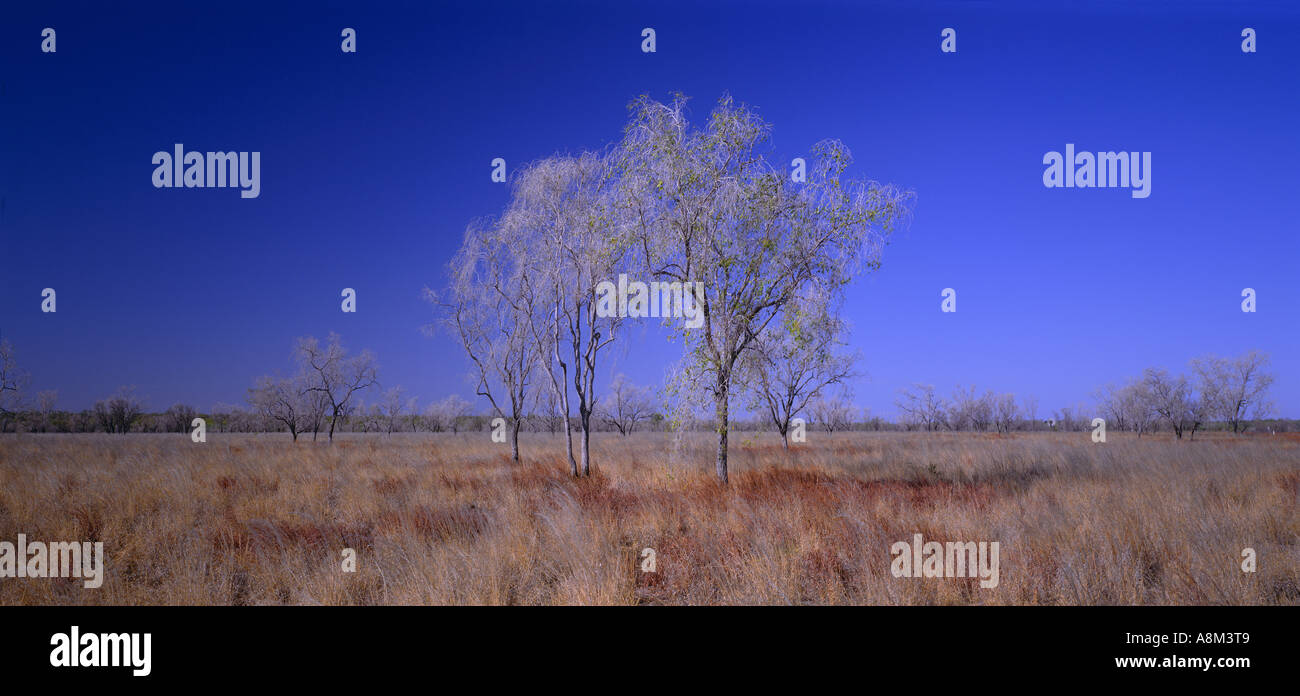 Roper gulf hi-res stock photography and images - Alamy