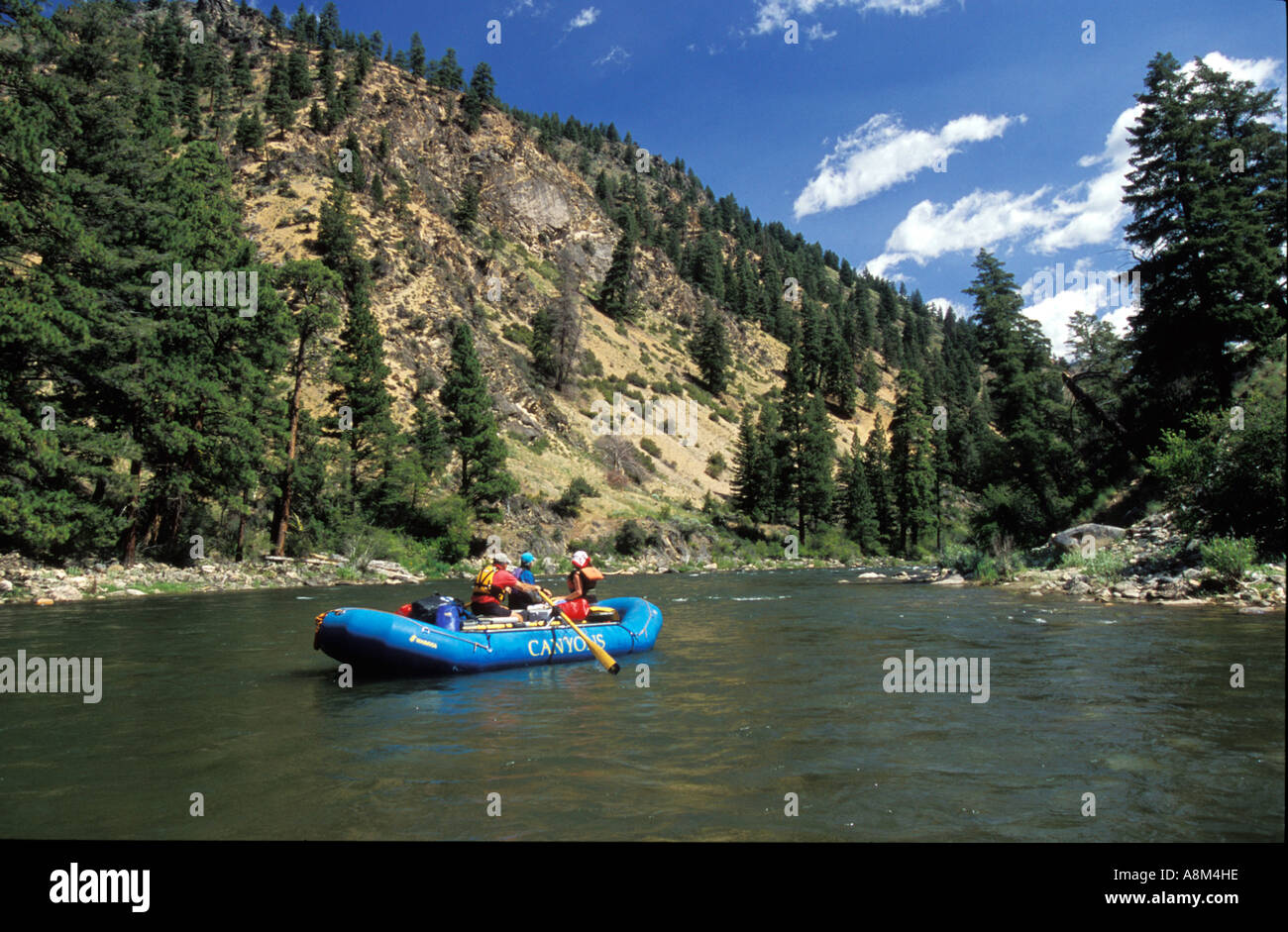 IDAHO MiDDLE FORK OF THE SALMON RIVER Whitewater rafting in the Frank ...