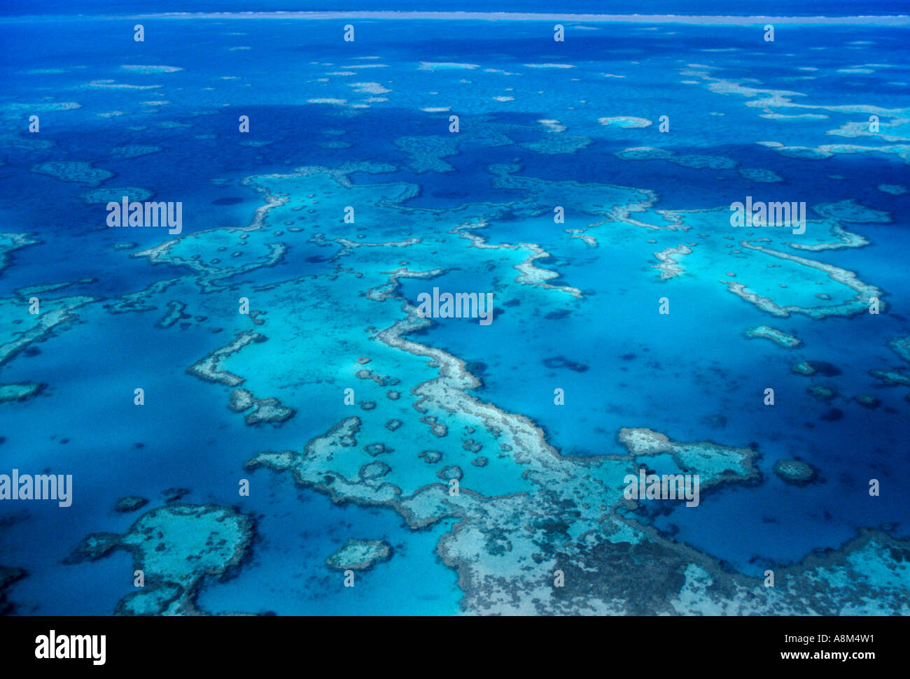 Arial View Coral Reef