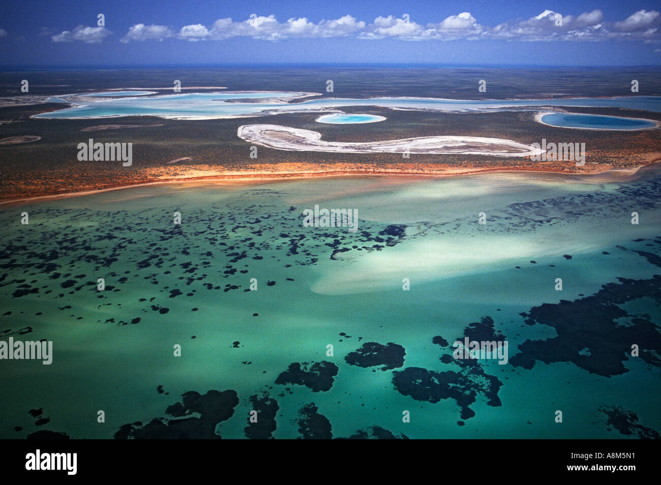 Shark Bay Marine Park