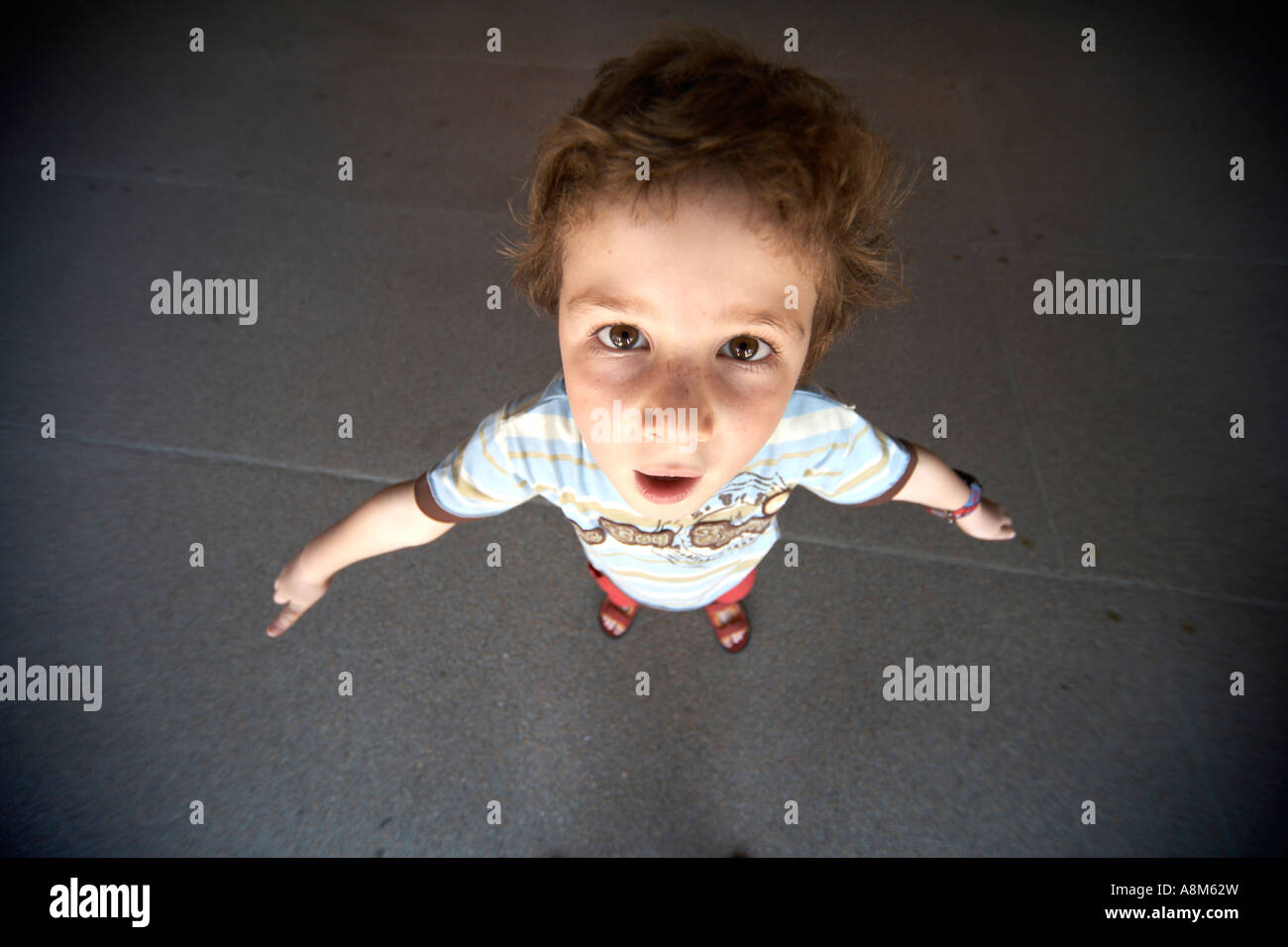Wide angle picture a boy smiling from above outside Sydney Opera House ...