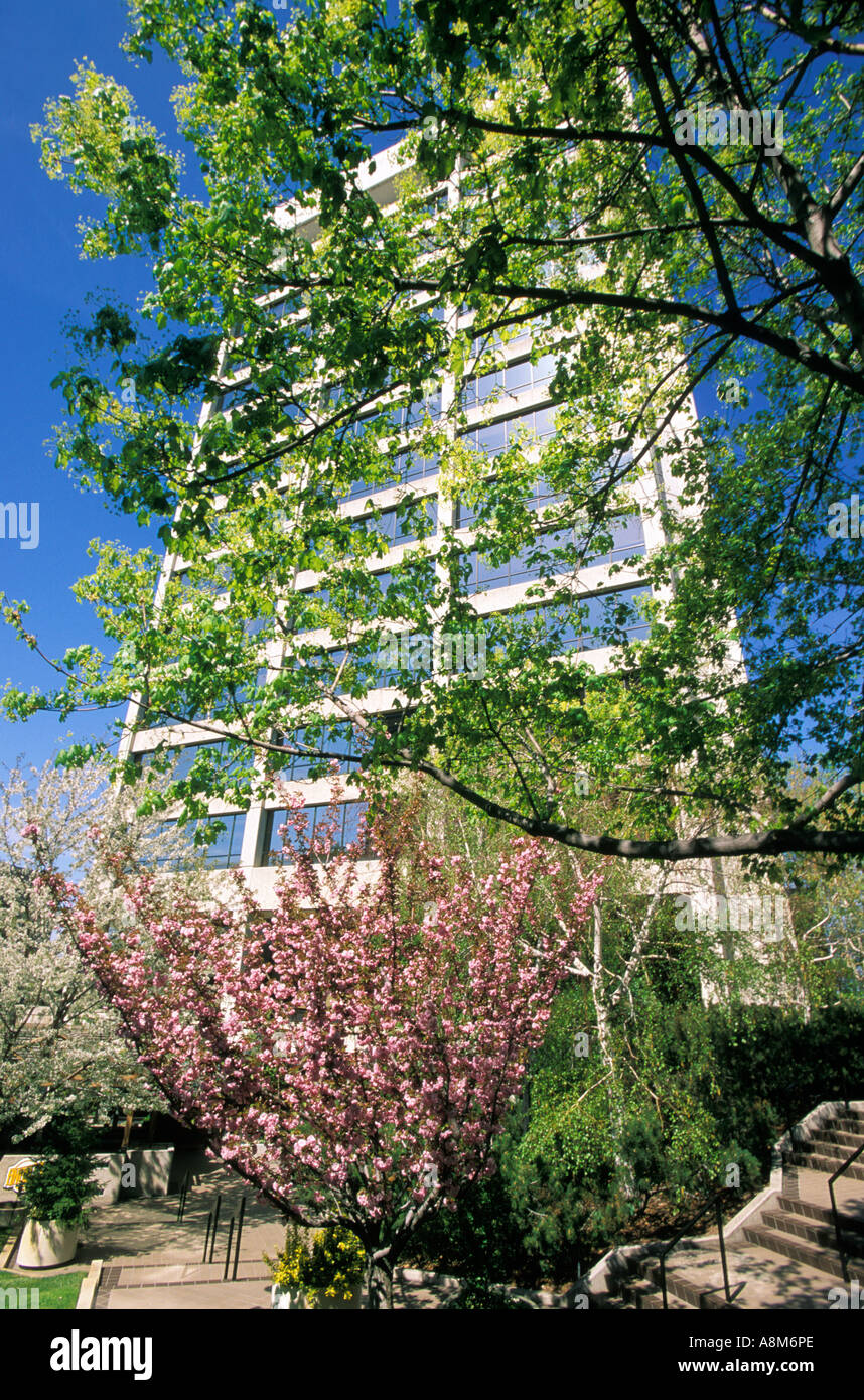 USA IDAHO BOISE Spring view of J R Simplot building in downtown Boise ...