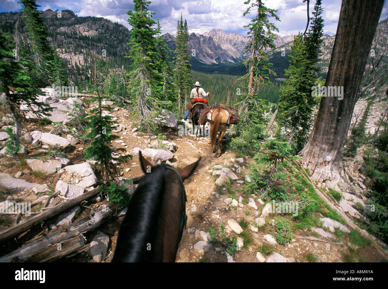 Cowboy riding horse pack horse hi-res stock photography and images - Alamy