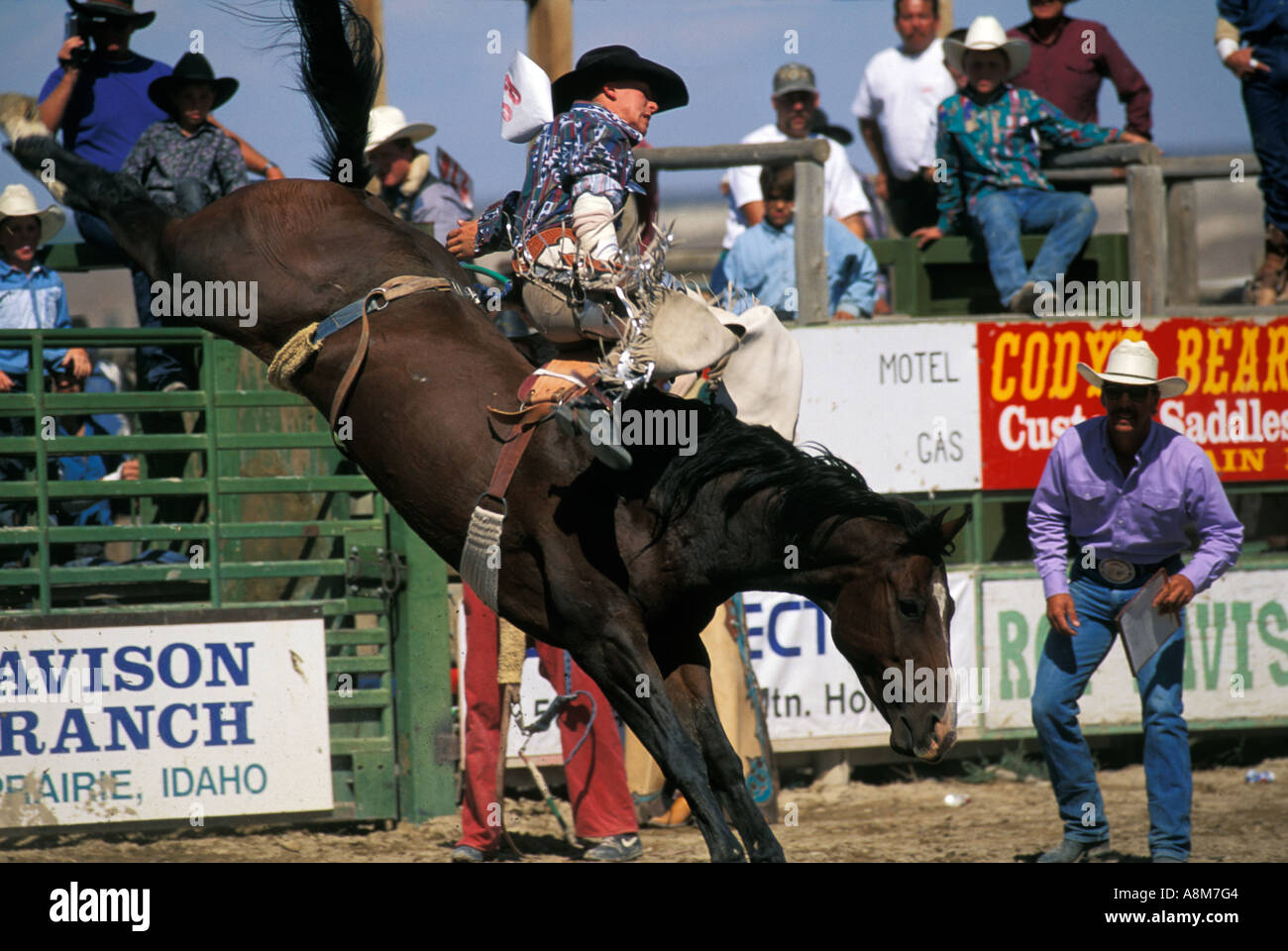 Man riding bucking bronco hi-res stock photography and images - Alamy