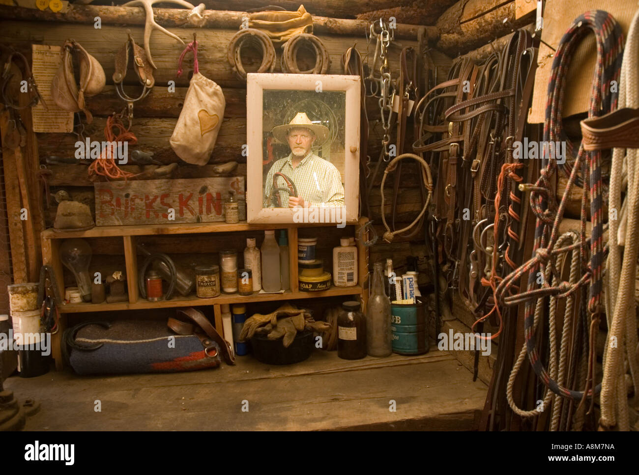 IDAHO INDIAN CREEK GUEST RANCH Cowboy looking in mirror inside horse ...