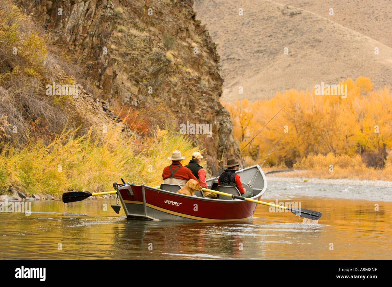IDAHO MAIN SALMON RIVER Fishing guide with couple rowing drift boat in ...