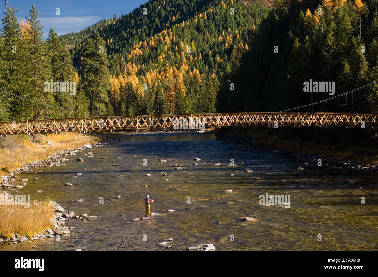 Clark fly id hi-res stock photography and images - Alamy