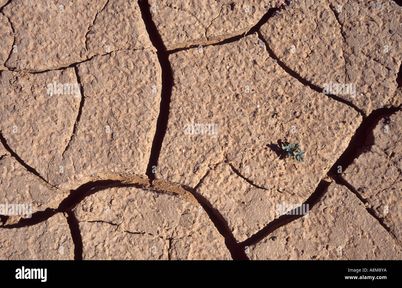 Global warming drought consumption hi-res stock photography and images ...