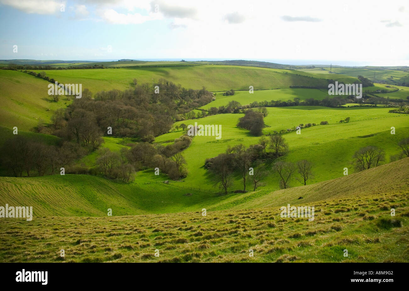 A view across rolling landscape from Eggardon Hill remains of a Roman ...