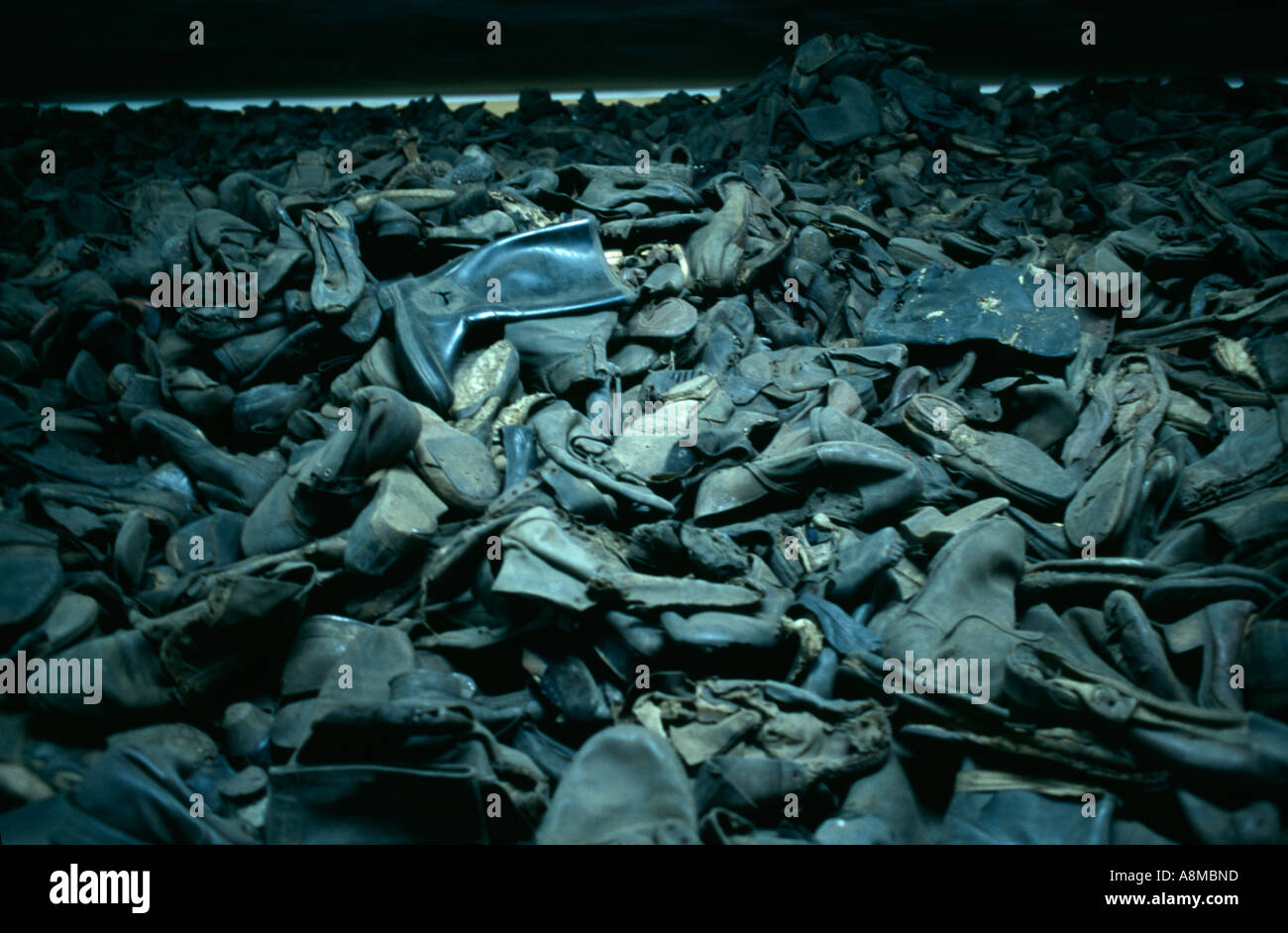 Shoes auschwitz hi-res stock photography and images - Alamy