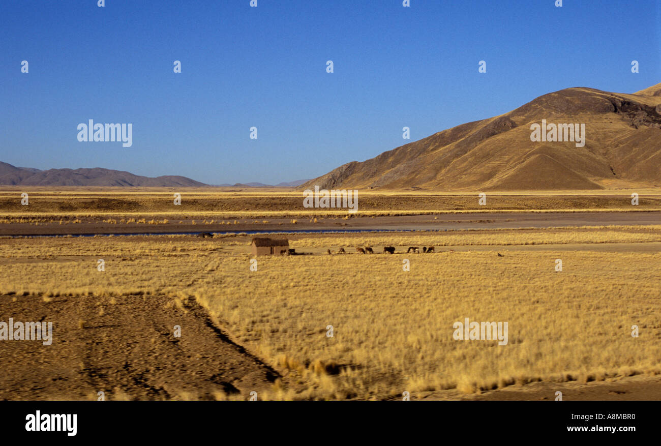Mountains and farming land of the pampa in south Peru Stock Photo - Alamy