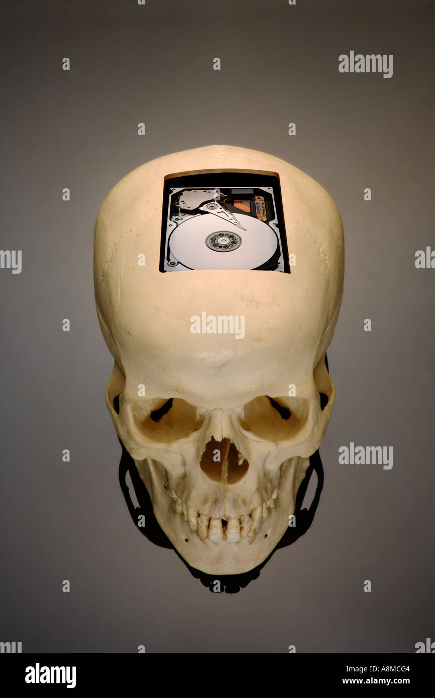 Hard drive in the skull Stock Photo - Alamy