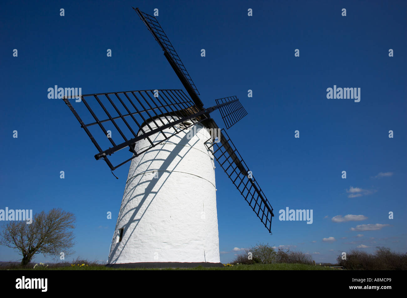 Ashton Windmill Chapel Allerton Somerset on a bright sunny day Stock ...