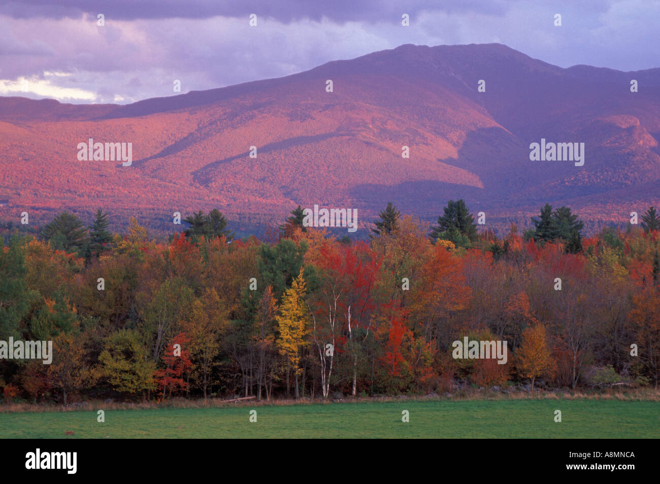 Fall Foliage Mt Lafayette as seen from Sugar Hill White Mountain N F NH ...
