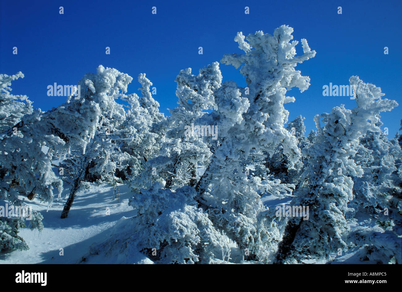 Coated exterior hi-res stock photography and images - Alamy