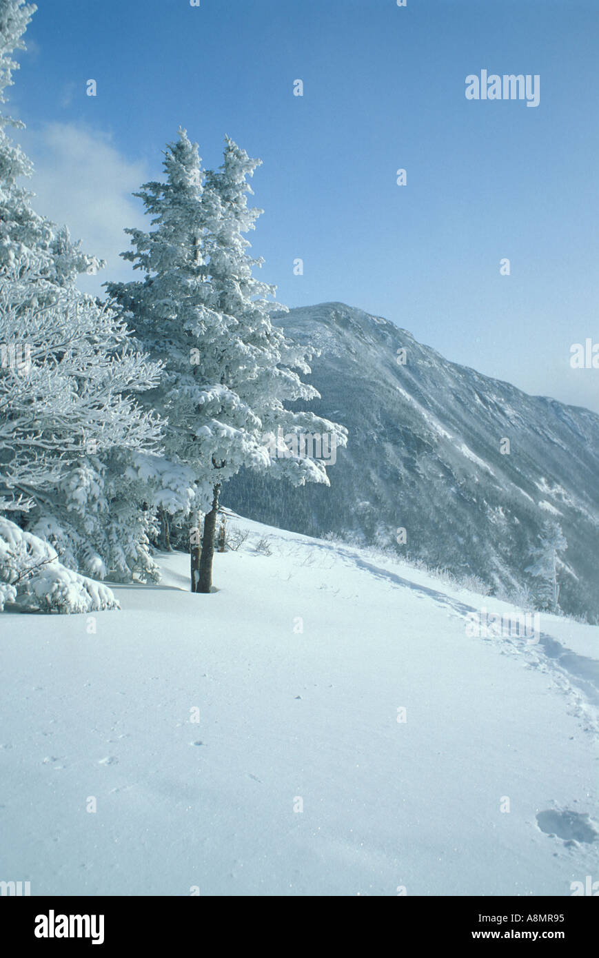 Fresh snow on Mount Willard in Crawford Notch in New Hampshire s White ...