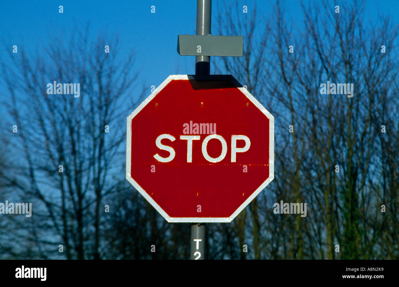 Stop Road Sign Stock Photo - Alamy