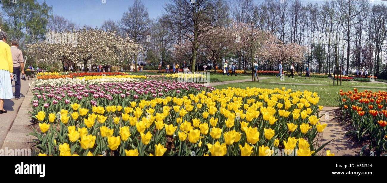 Flowers Park in Lisse in Holland Stock Photo - Alamy