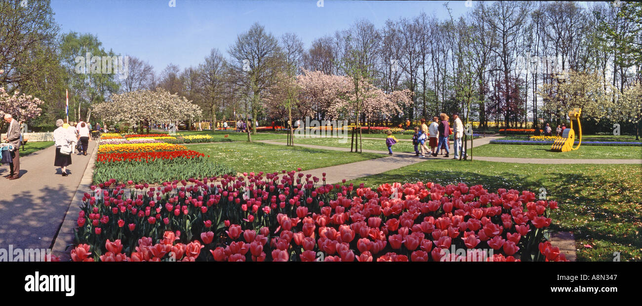Flowers Park in Lisse in Holland Stock Photo - Alamy