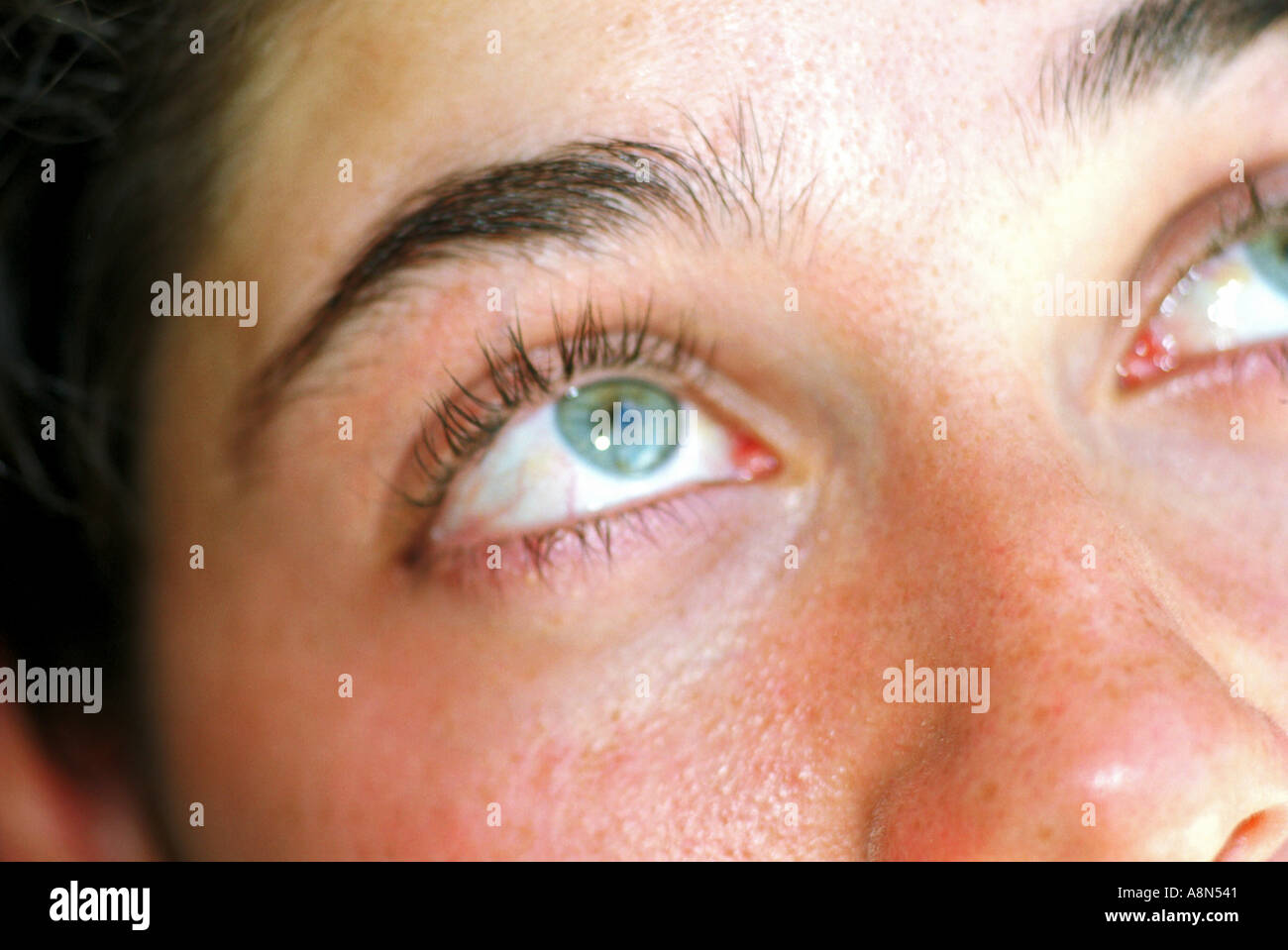 Feminine faces hi-res stock photography and images - Alamy