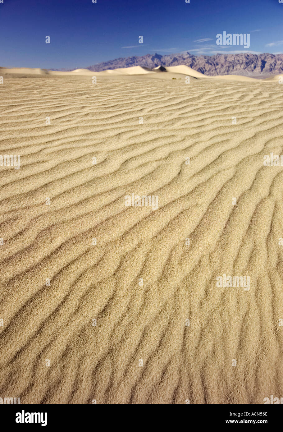 California sand grains hi-res stock photography and images - Alamy