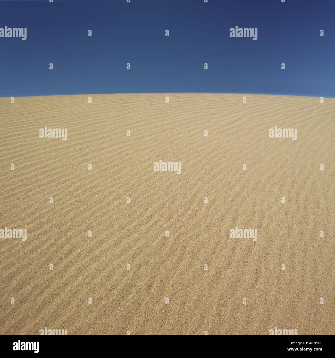 Desert wasteland dune pattern hi-res stock photography and images - Alamy