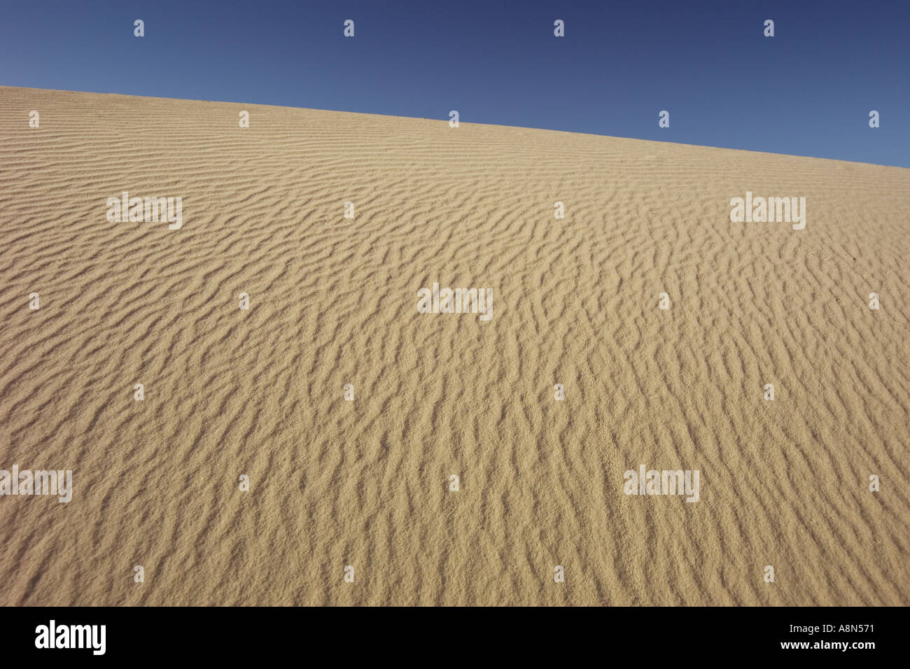 California sand grains hi-res stock photography and images - Alamy