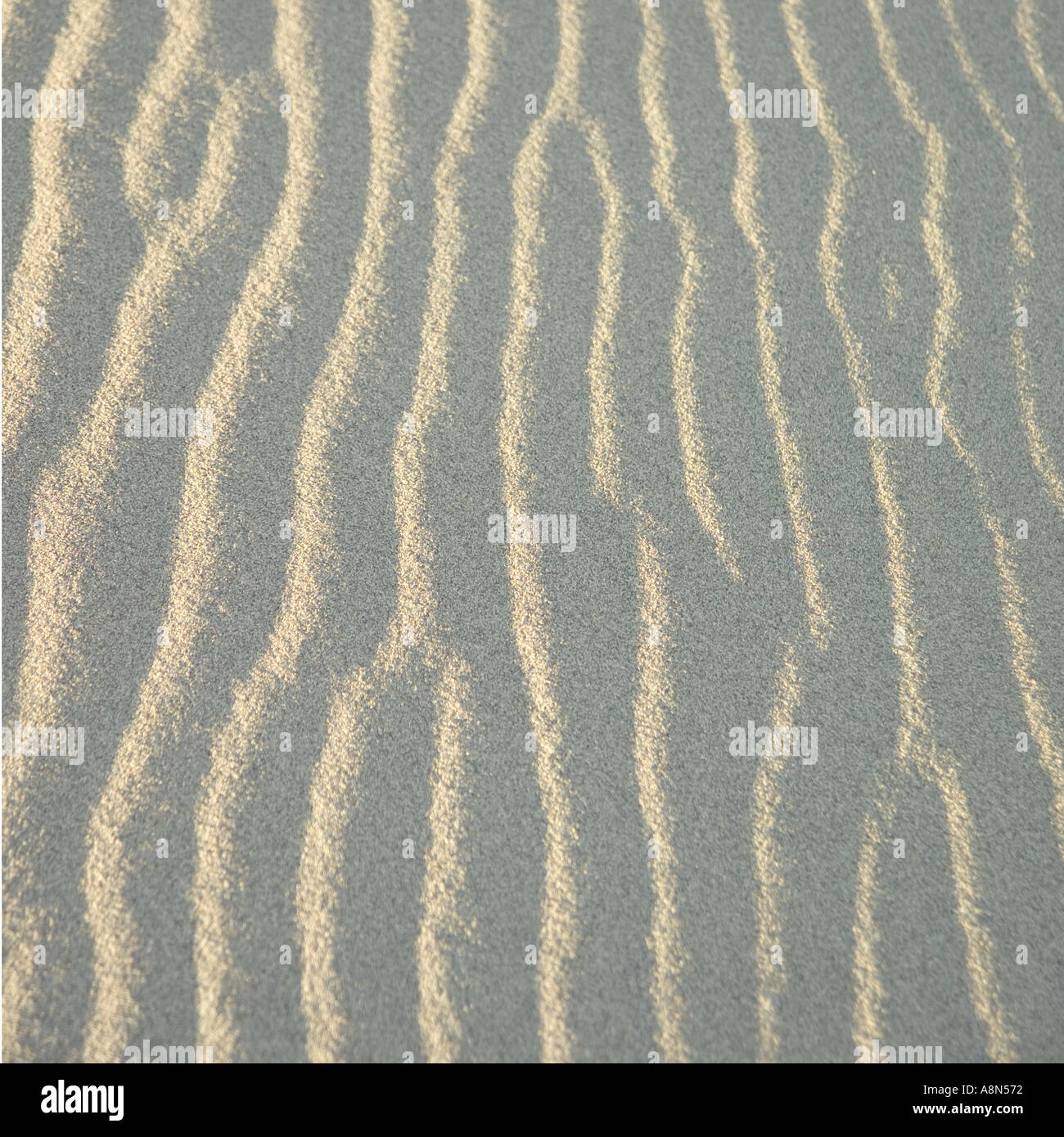 Patterns of wind blown sand Stock Photo - Alamy