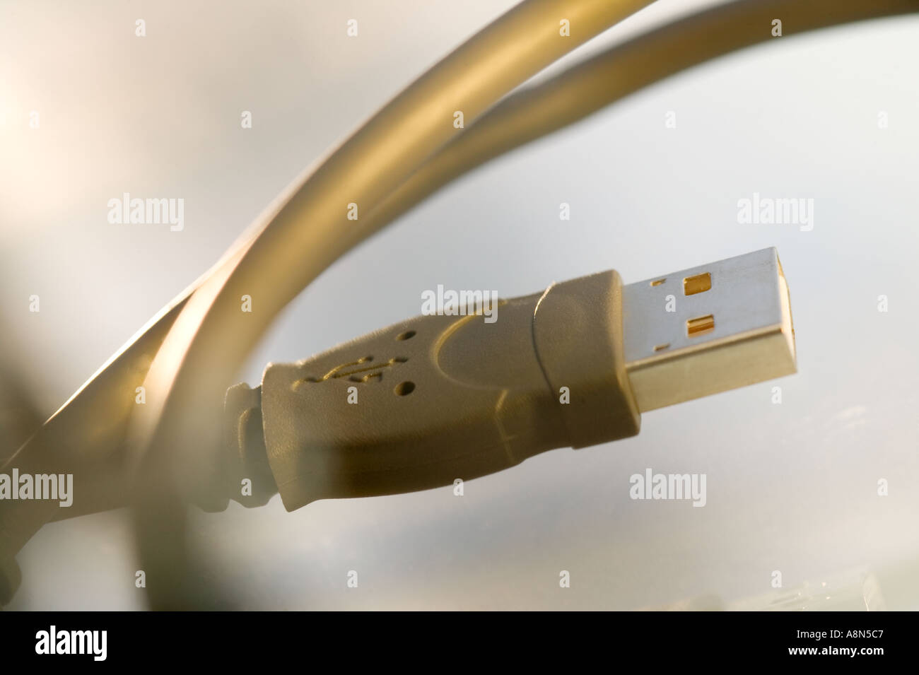 Computer cable hi-res stock photography and images - Alamy