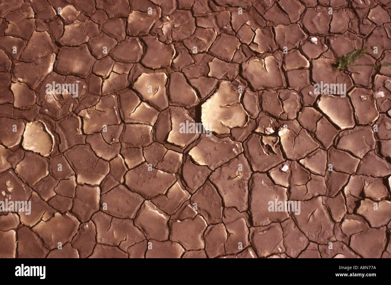 Sun baked soil hi-res stock photography and images - Alamy