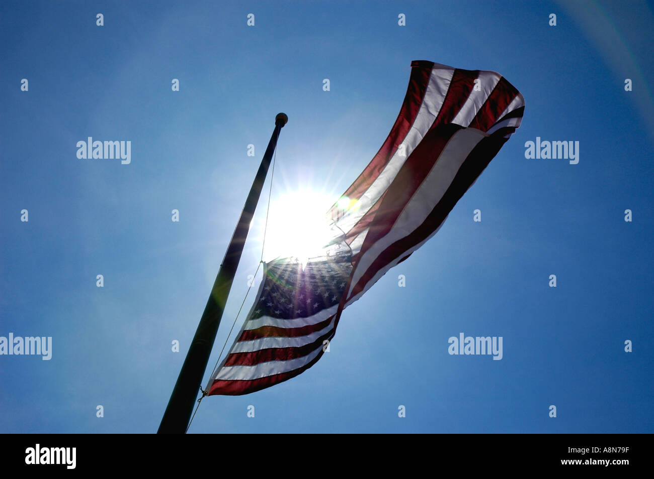 USA American Flag in the sun and wind Stock Photo - Alamy