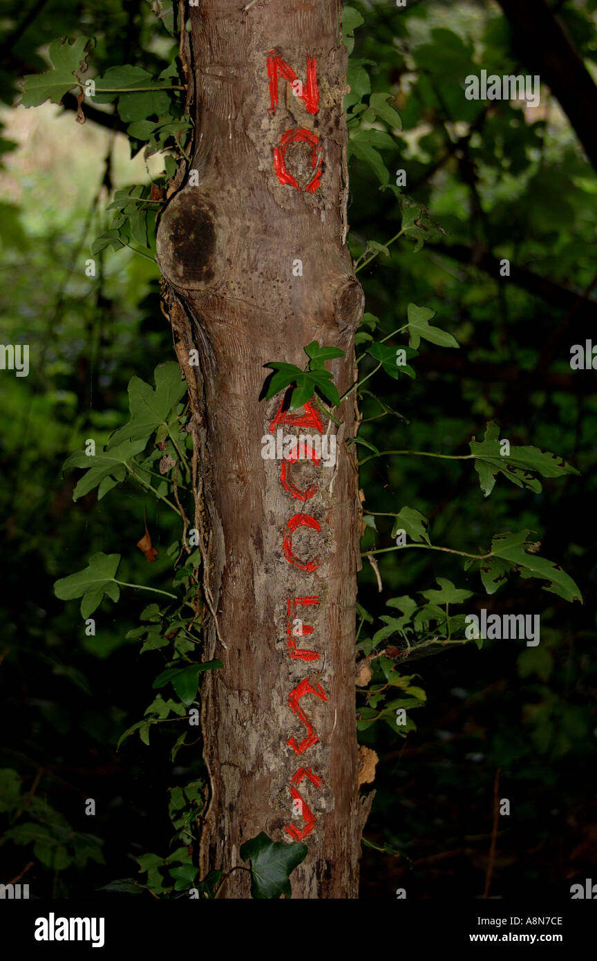 Makeshift No Access sign carved into a tree Stock Photo - Alamy
