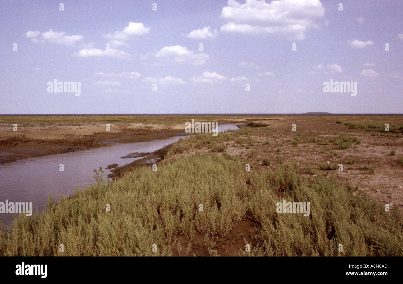 The Wash Gedney Drove End England Stock Photo - Alamy