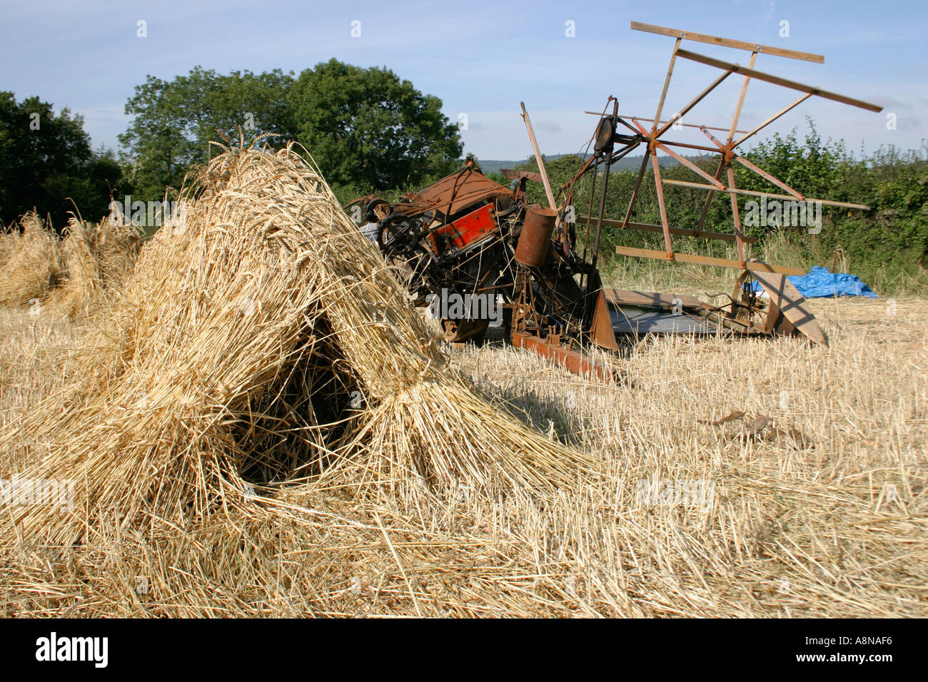 Wheat stooks hi-res stock photography and images - Alamy