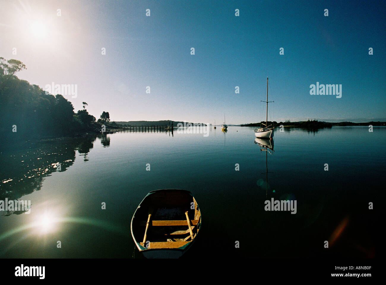 Rangitane hi-res stock photography and images - Alamy