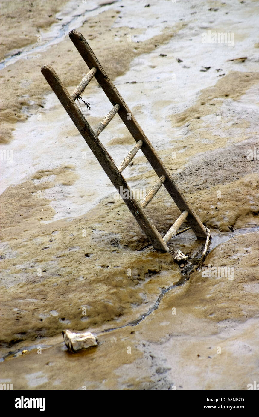Abandoned Ladder sticking out of Riverbed Stock Photo - Alamy