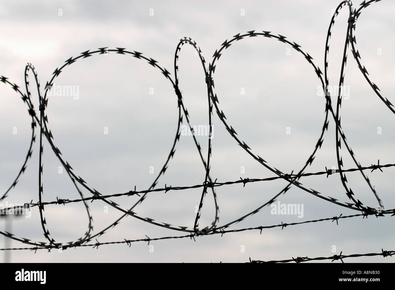 Barbed Razor Wire Stock Photo - Alamy