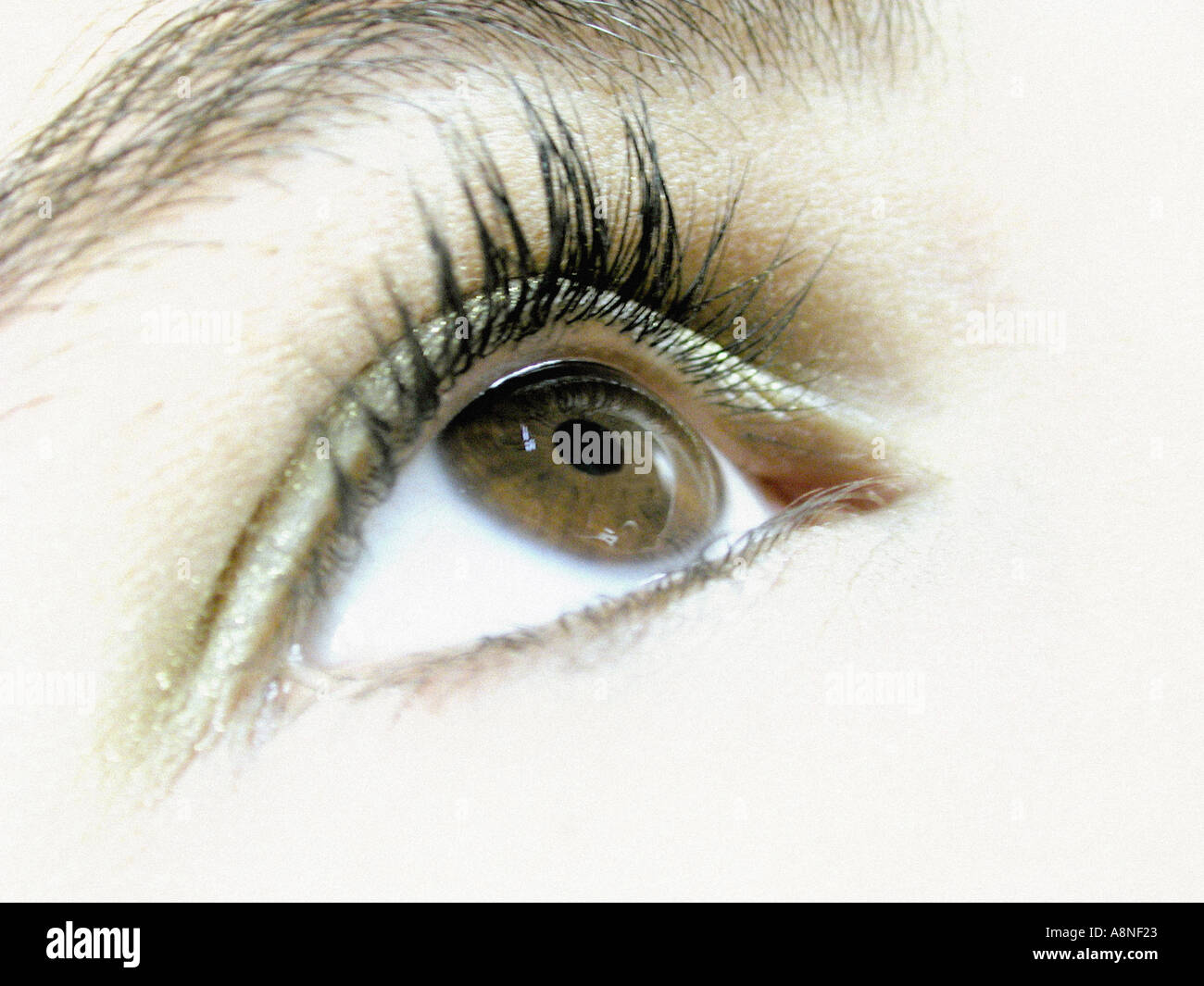 Feminine feminin hi-res stock photography and images - Alamy