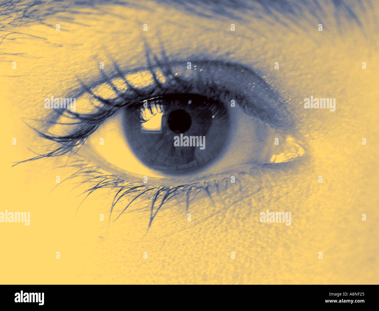 Feminine feminin hi-res stock photography and images - Alamy