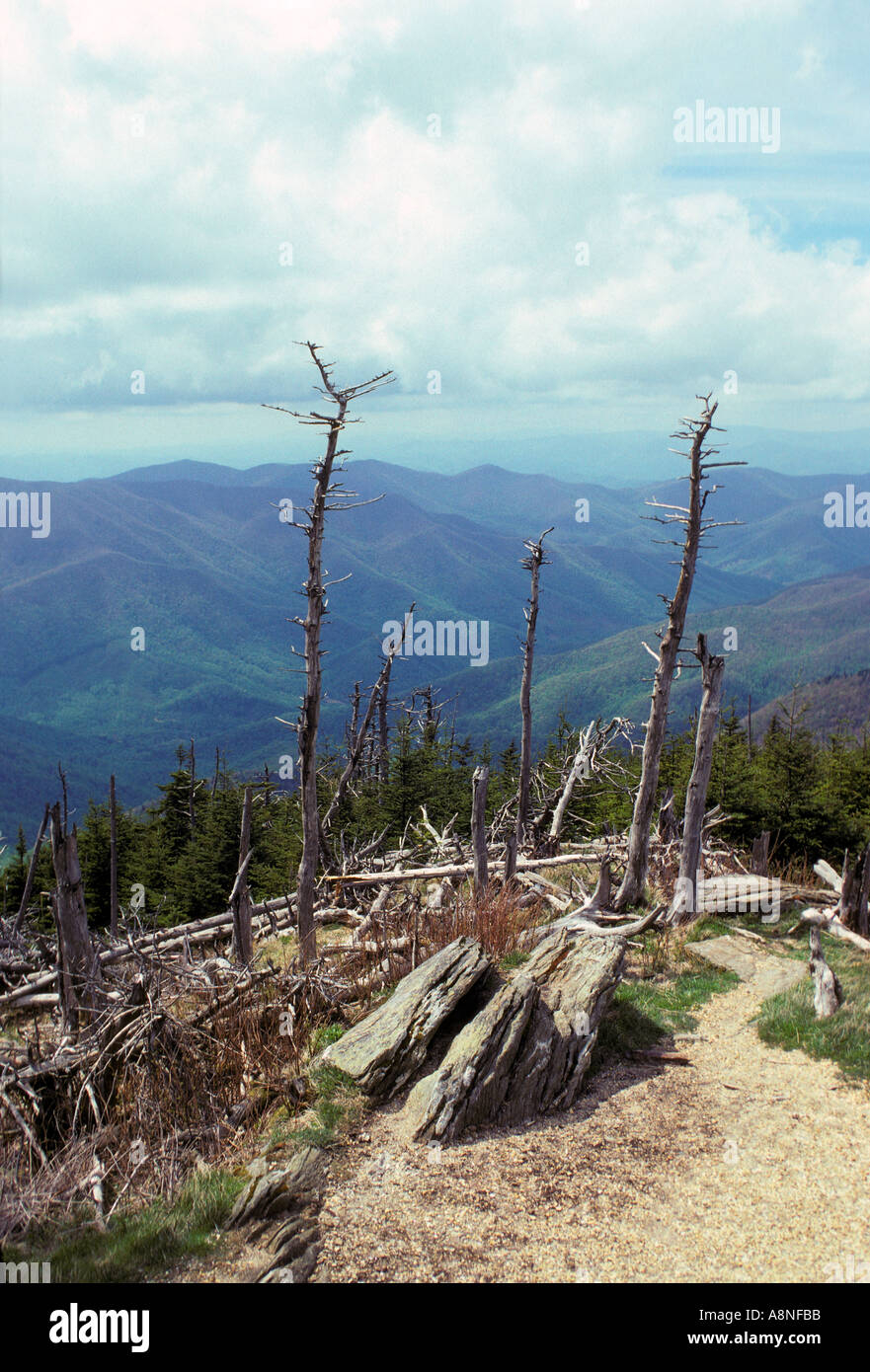 Mount Mitchell Acid Rain