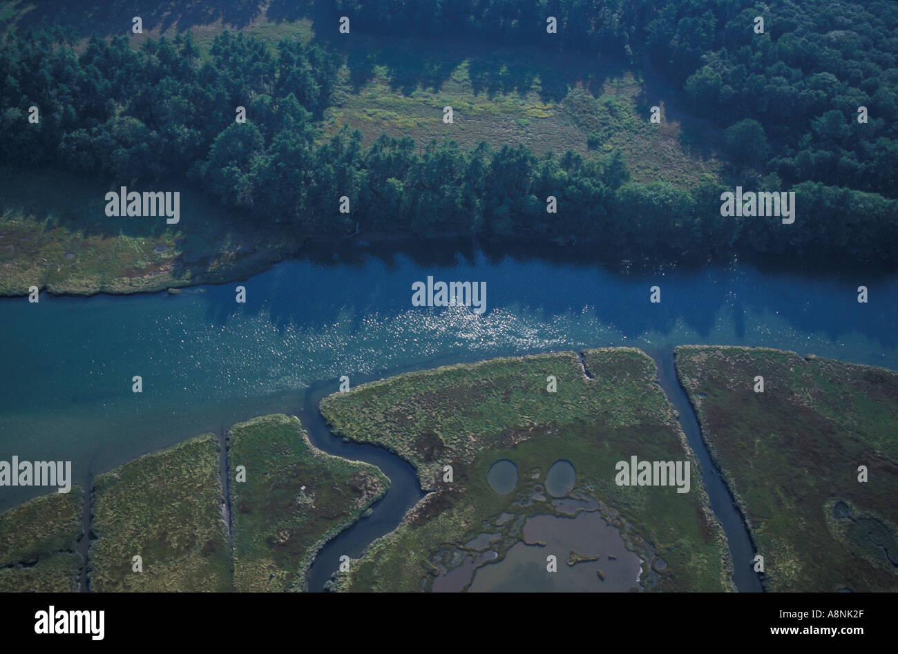 Rachel carson reserve hi-res stock photography and images - Alamy