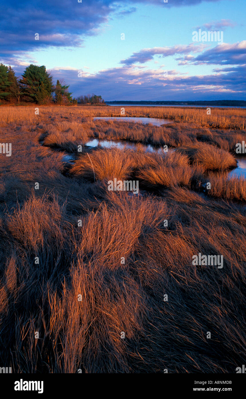 Tidal estuary with clouds at sunset Stock Photo - Alamy