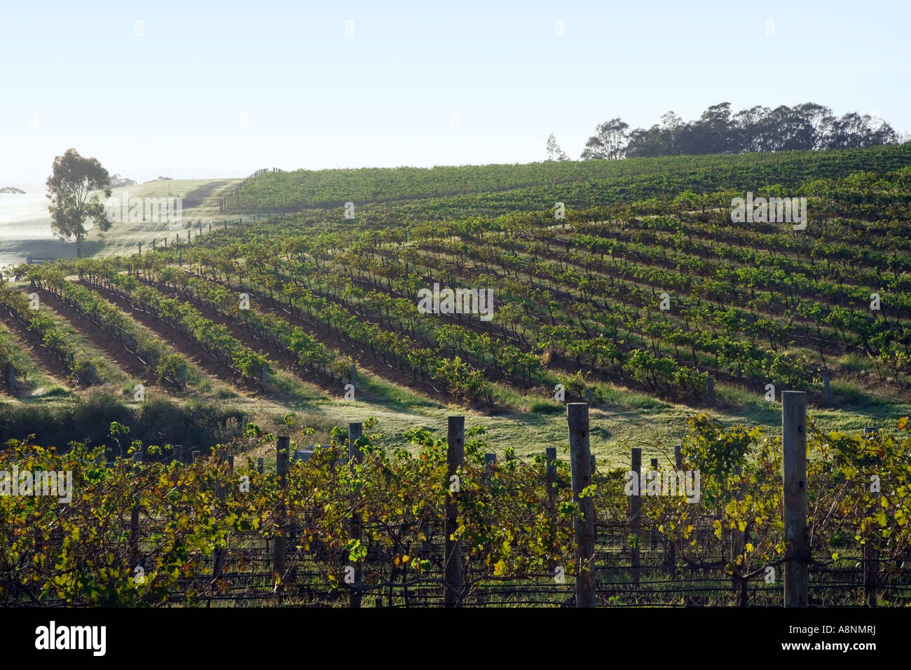 Country australia hi-res stock photography and images - Alamy