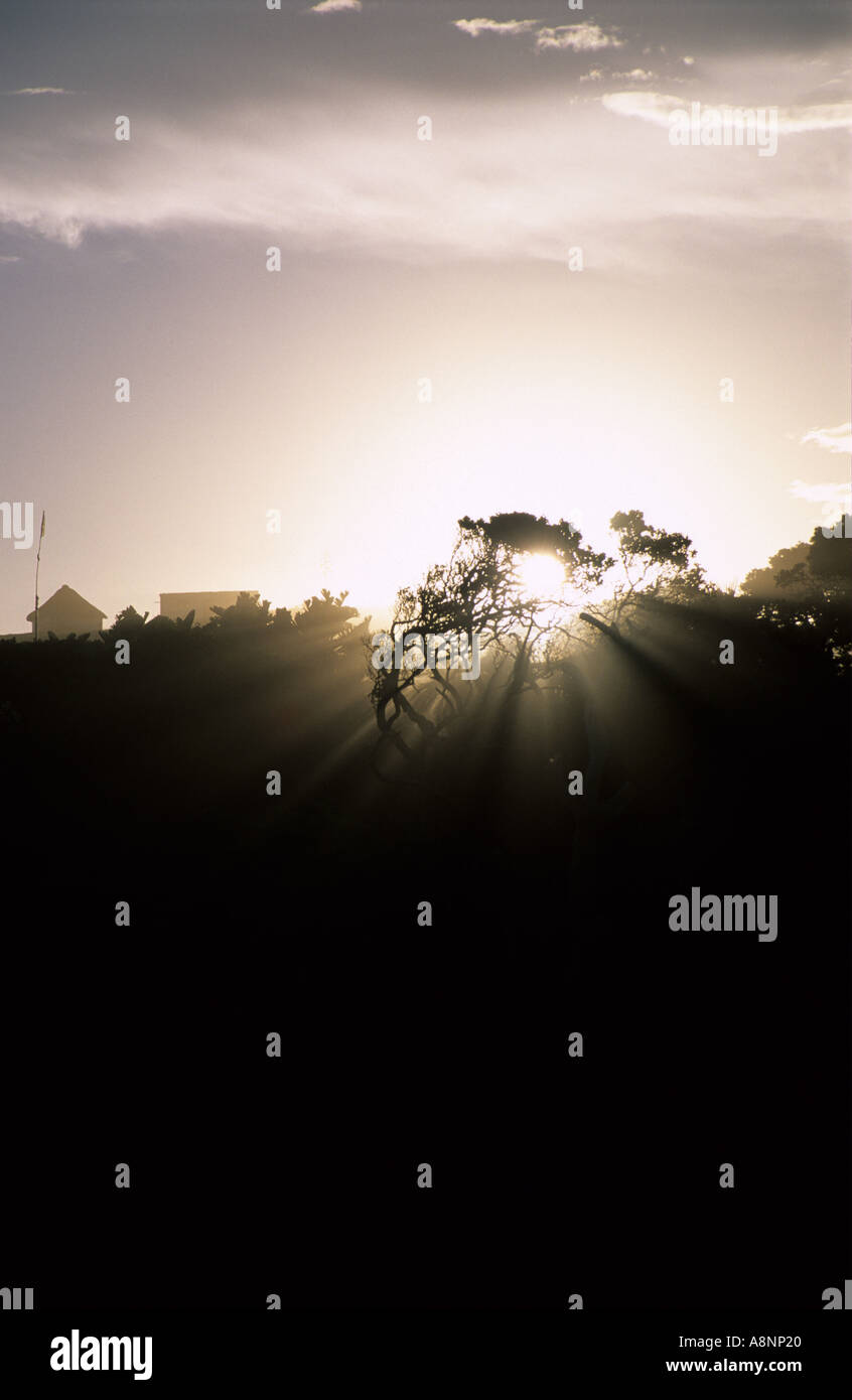 Transkei house hi-res stock photography and images - Alamy