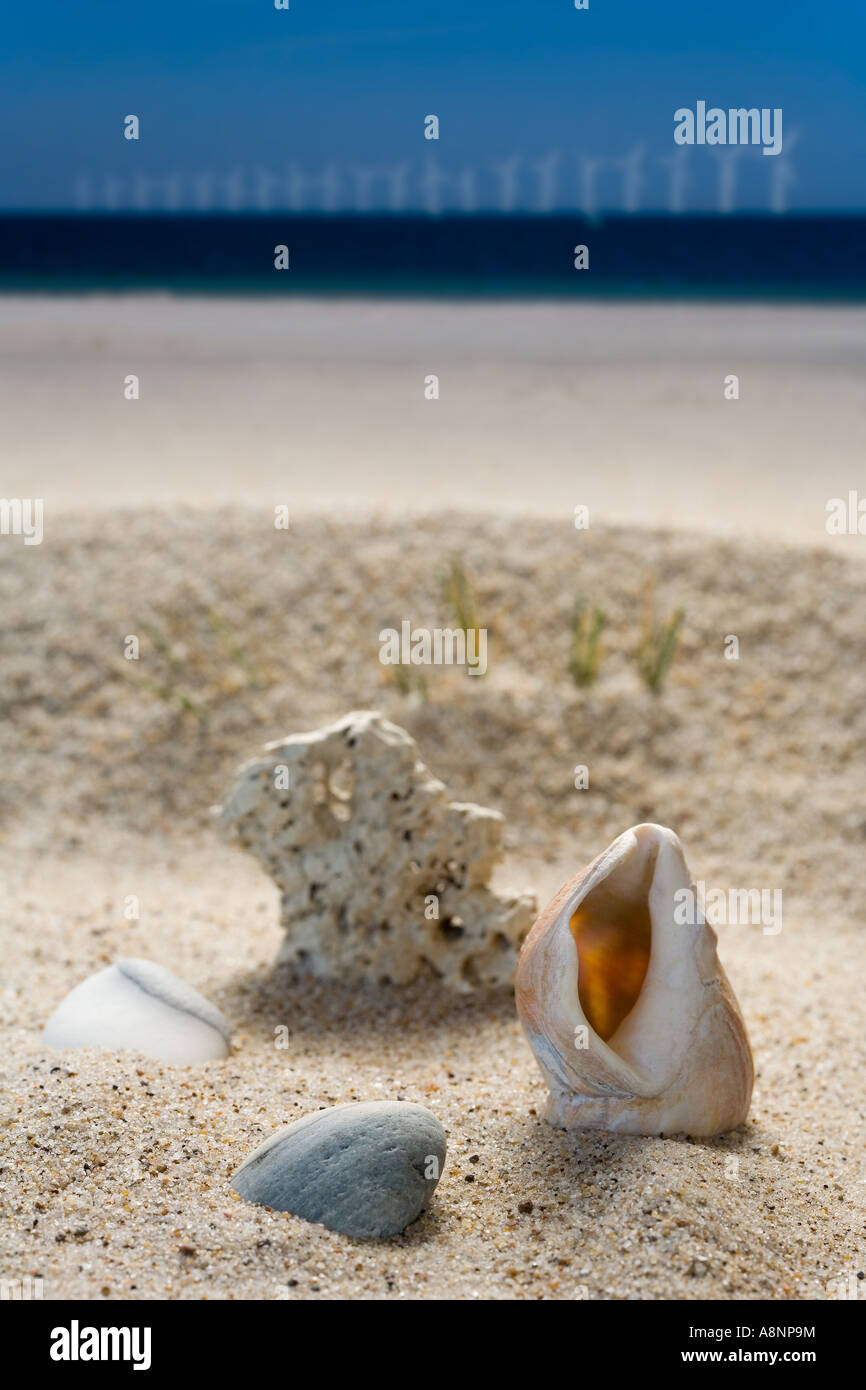 The beach at Amager Strandpark Stock Photo - Alamy