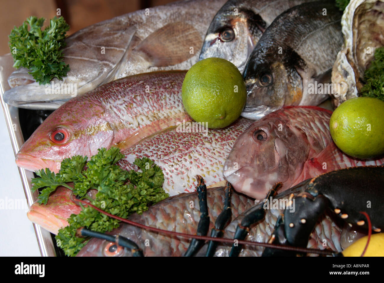 Big catch display hi-res stock photography and images - Alamy