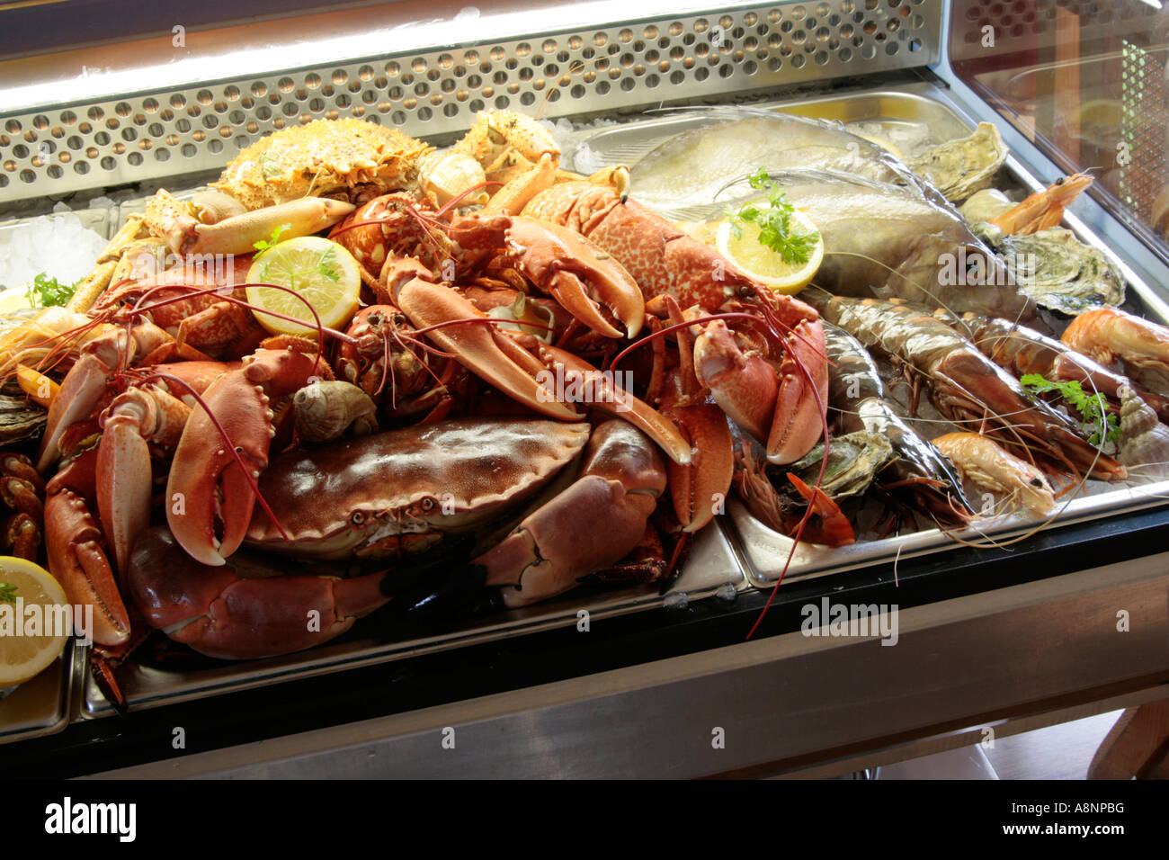 Display restaurant prawns lobster hi-res stock photography and images ...