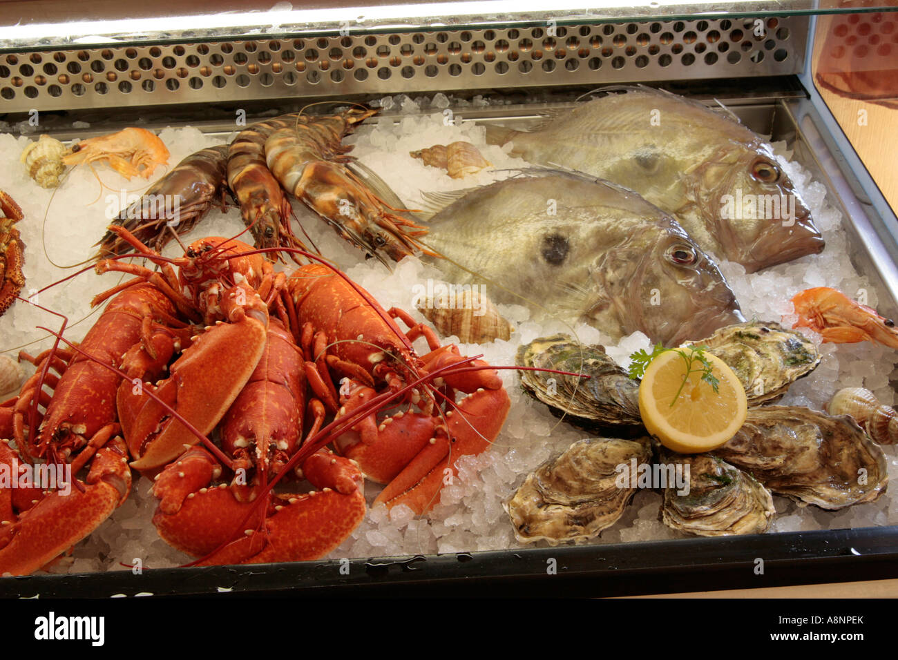 Display restaurant prawns lobster hi-res stock photography and images ...