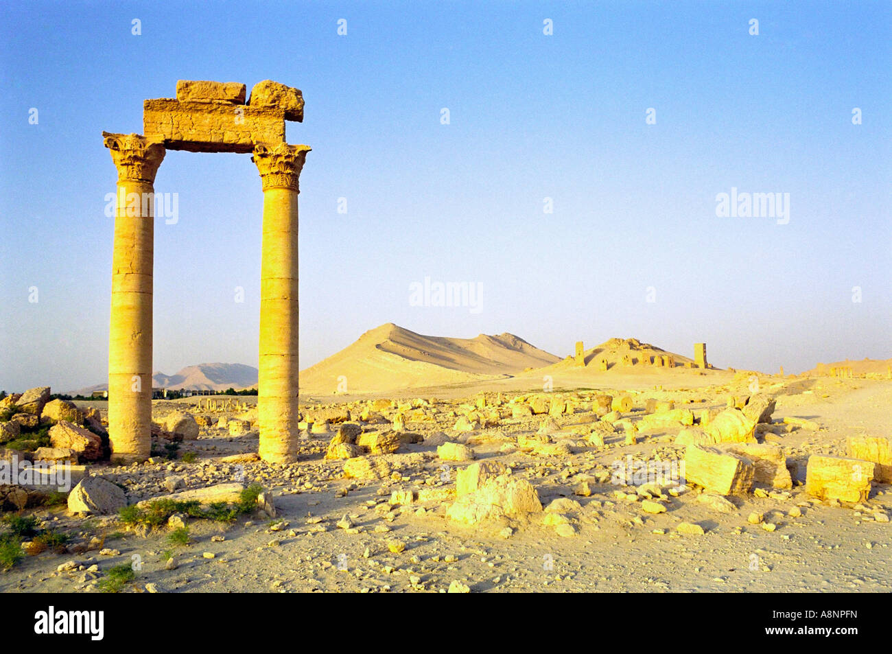 Roman ruins at sunrise - Palmyra, SYRIA Stock Photo - Alamy