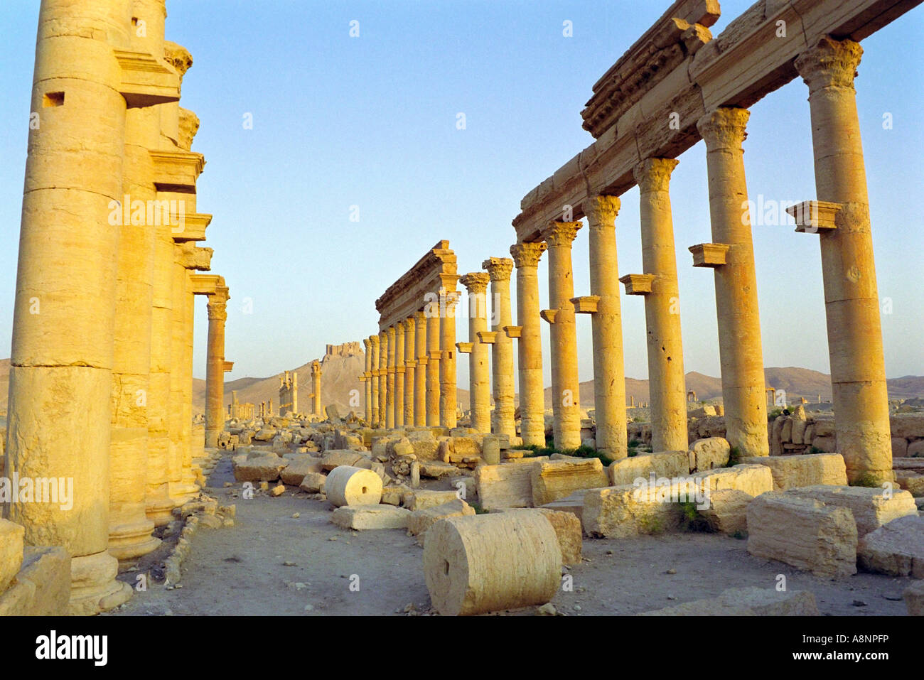 Great Colonnade - Palymra, SYRIA Stock Photo - Alamy